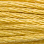 DMC 6 Strand Floss | 3821 – Heritage Designs