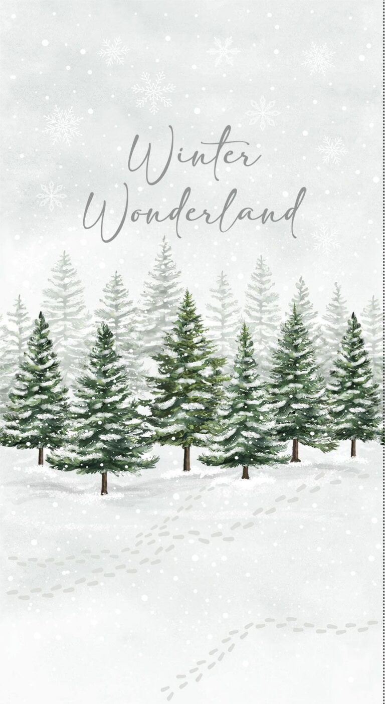 Timeless Treasures Winter Wonderland – CD3691 Winter – 24″ Panel ...